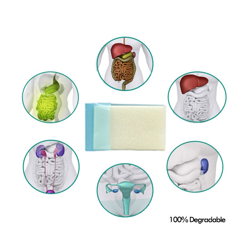 absorbable hemostats Degradable hemostatic material Absorbable ...